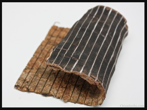 20 Bahan Herbal Sup Ayam Obat Part IV - YukMakanSehat.Com